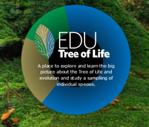 UF Faculty Working on the Tree of Life - Biology